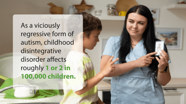 Childhood Disintegrative Disorder due to Toxic Baby Food | ELG Law